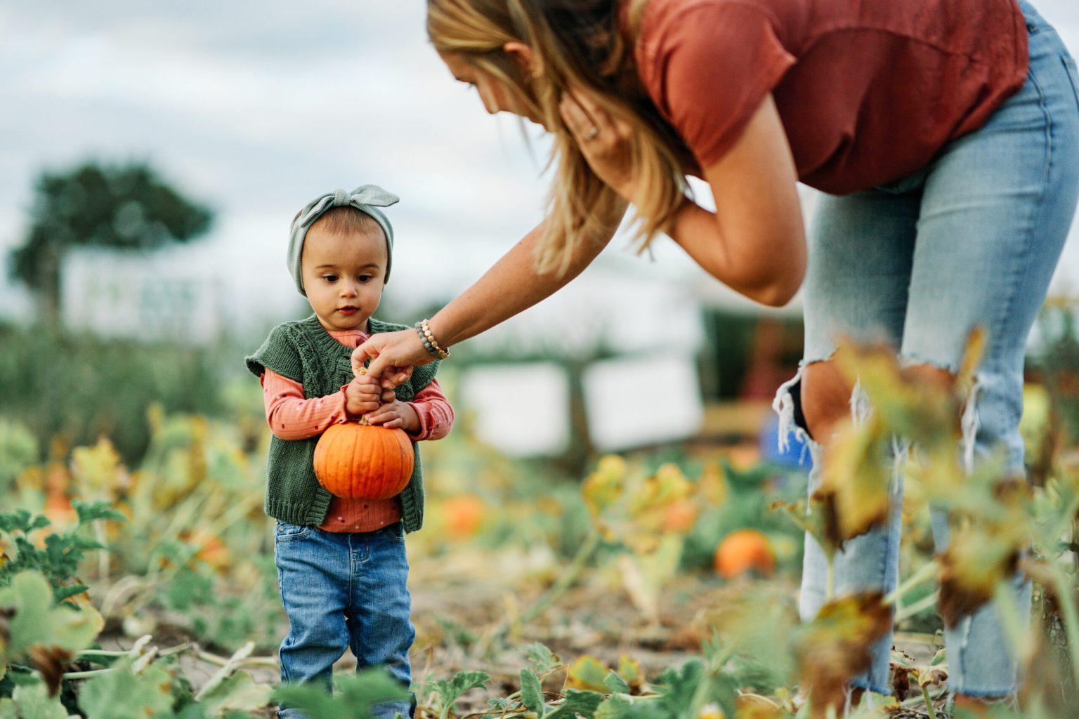 Fall Farm Activities | Hayrides, Pick Your Own, & More