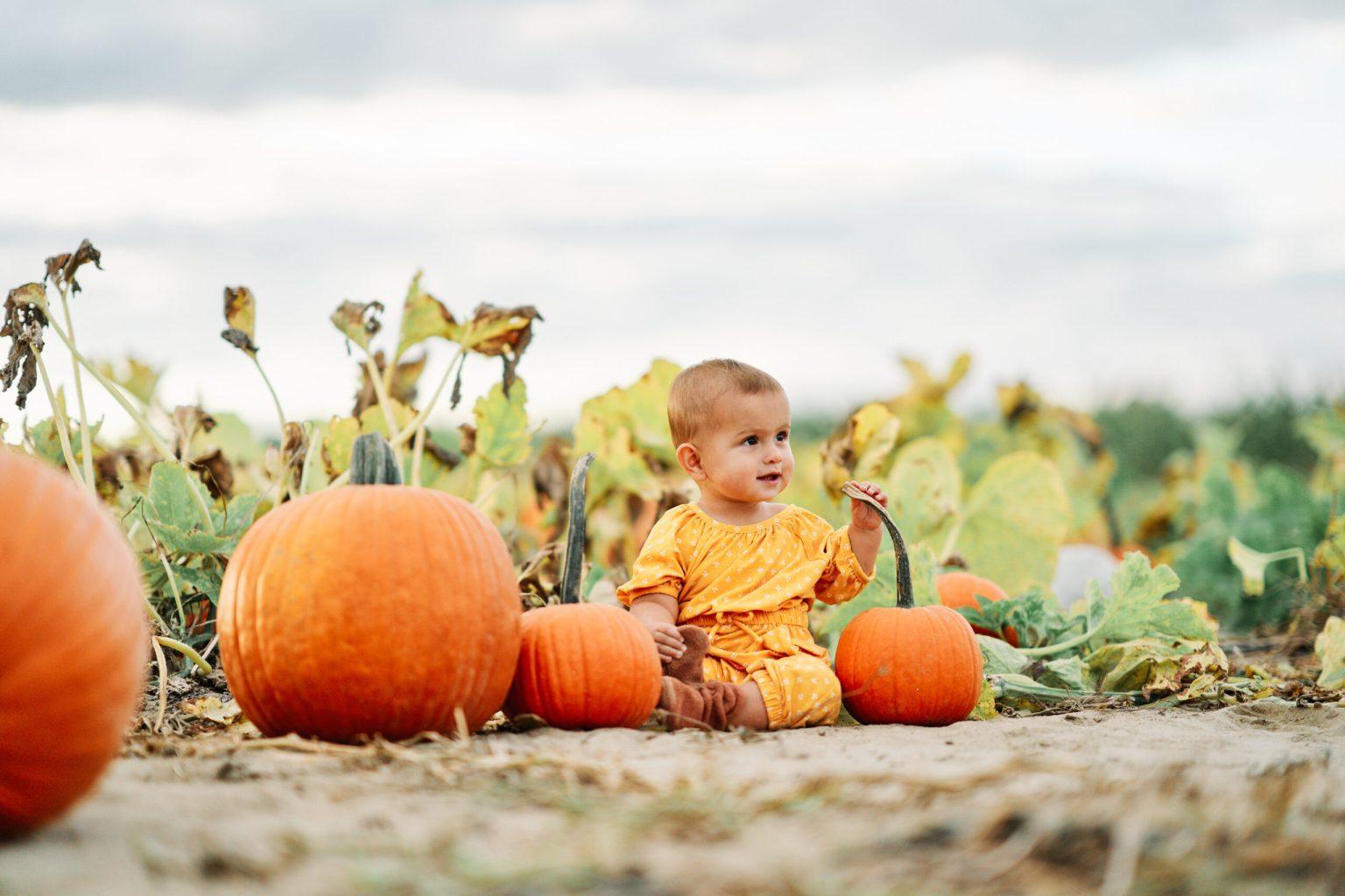 Fall Farm Activities | Hayrides, Pick Your Own, & More