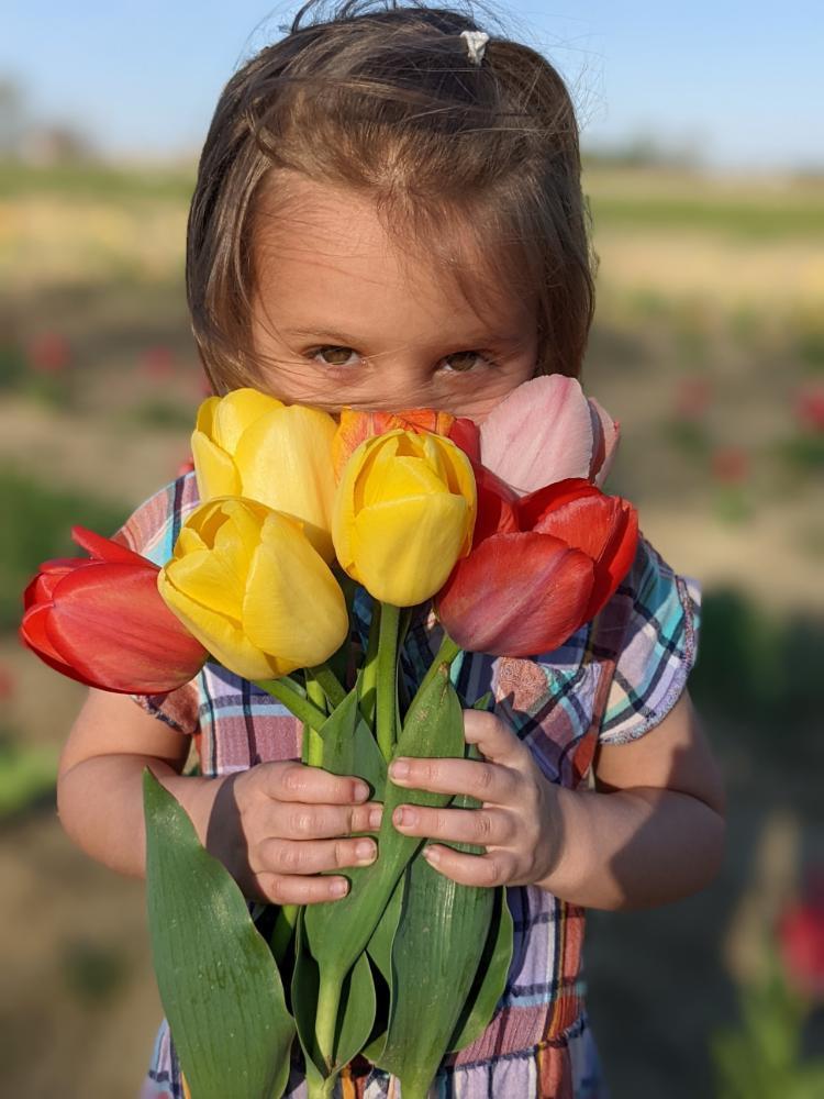 Spring Hayrides To Blueberry, Peach, & Strawberry Picking In NJ