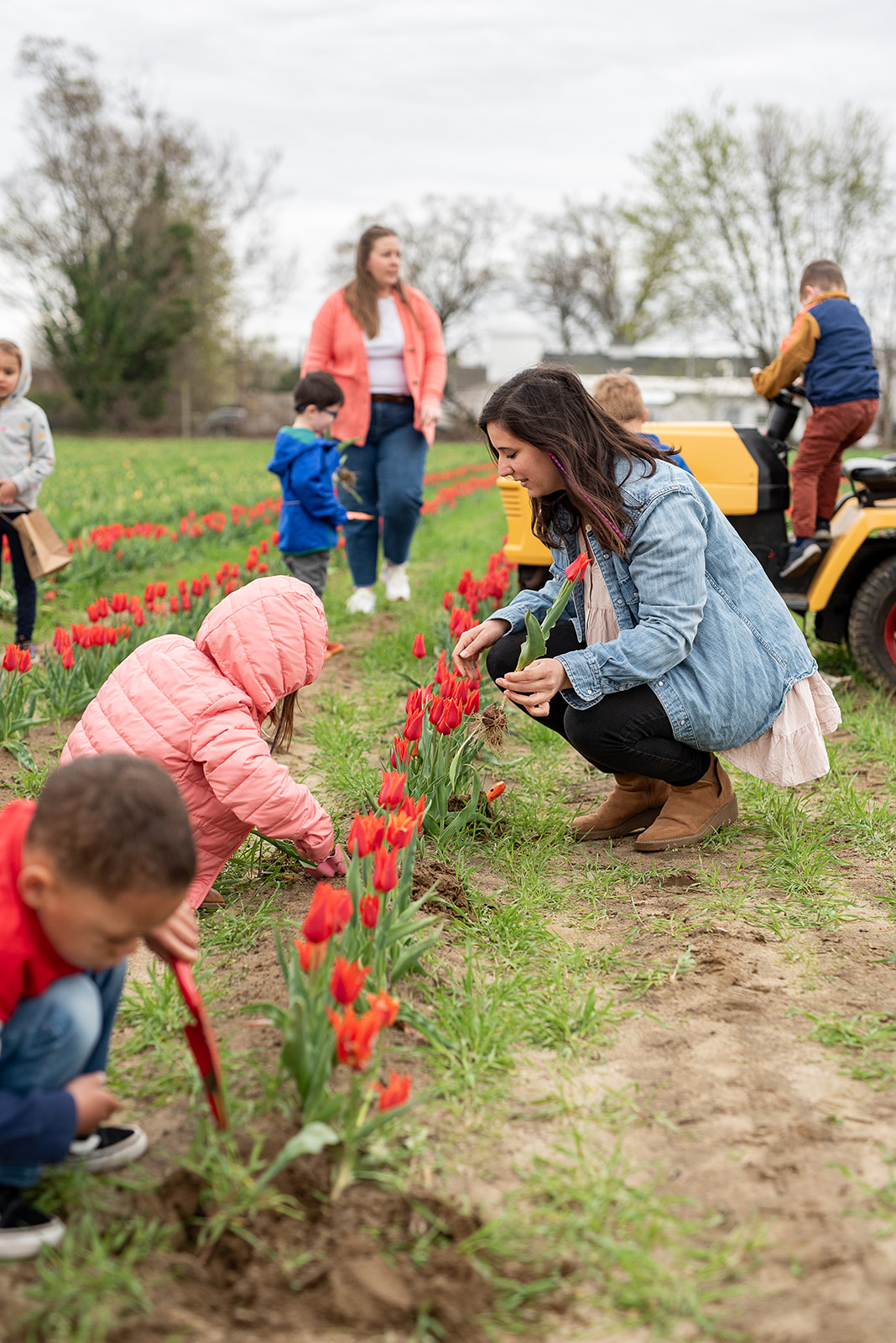 Tulip Picking Hayride | Johnson's Farm - Pumkin Picking, Hayrides, Pick ...